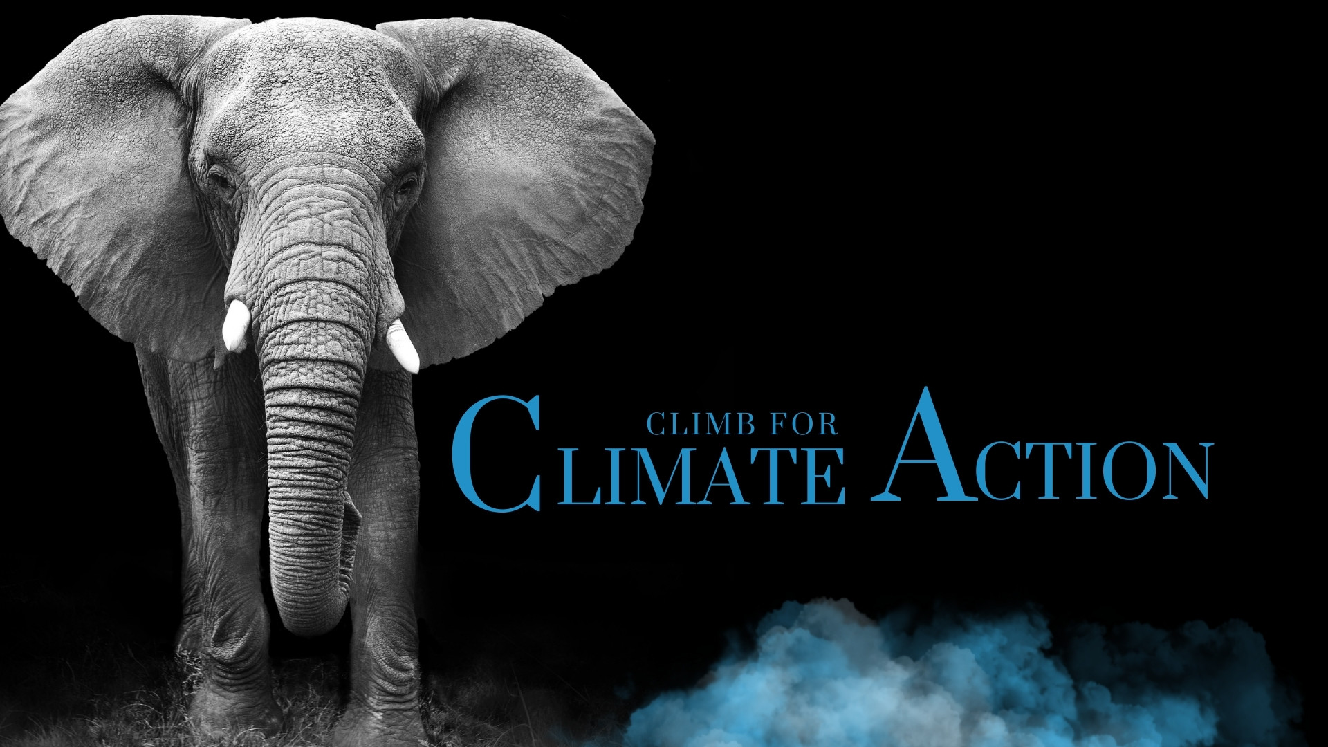 Climb for Climate Action | AfroLandTV