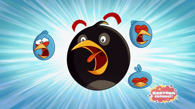 Angry Birds | Kartoon Channel