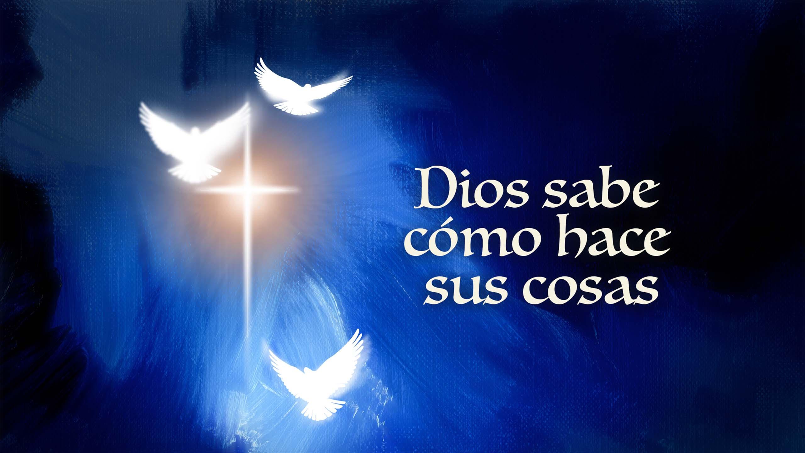 Dios Sabe Cómo Hace Sus Cosas | FreeTV